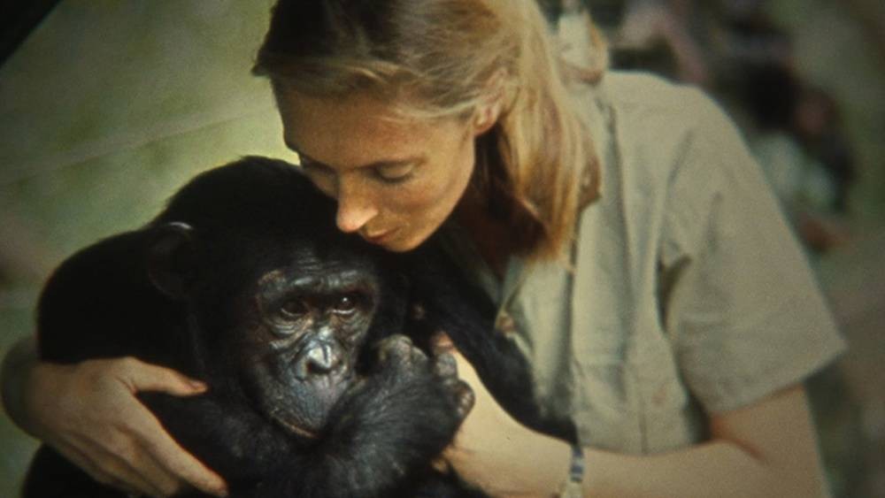 Jane - NYU Abu Dhabi Public Programs