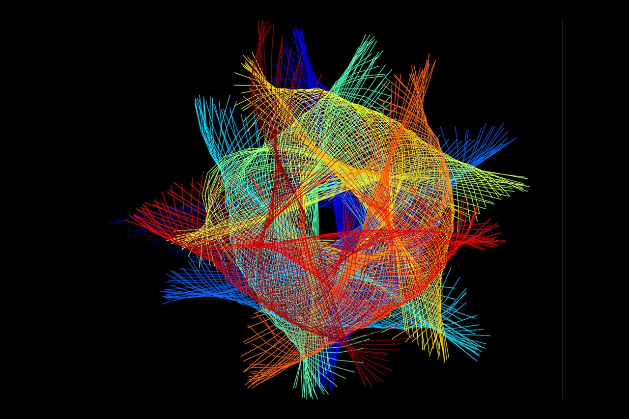 Decrypting Complexity in Biological and Active Matter - NYU Abu Dhabi Public Programs